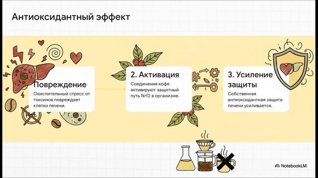 Кофе: Мясников не сказал о подводных камнях приготовления и потребления. Гепато- и кардиопротекция