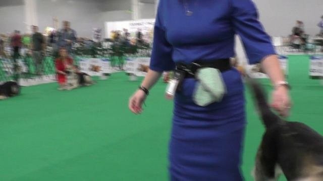 Калужский Витязь Леофан