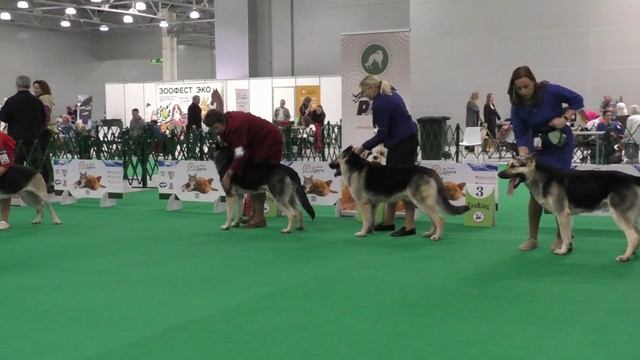 Расстановка КЮ