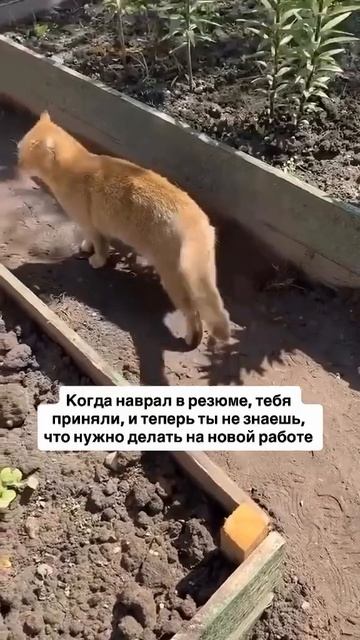 Врать нехорошо 😂😁😁