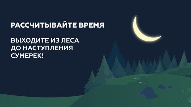 Поход в лес