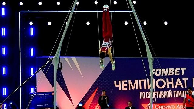 БРУСЕНСКИЙ Денис 300 на кольцах