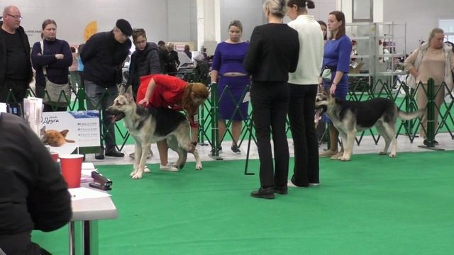 Орбелий Повелитель Грез