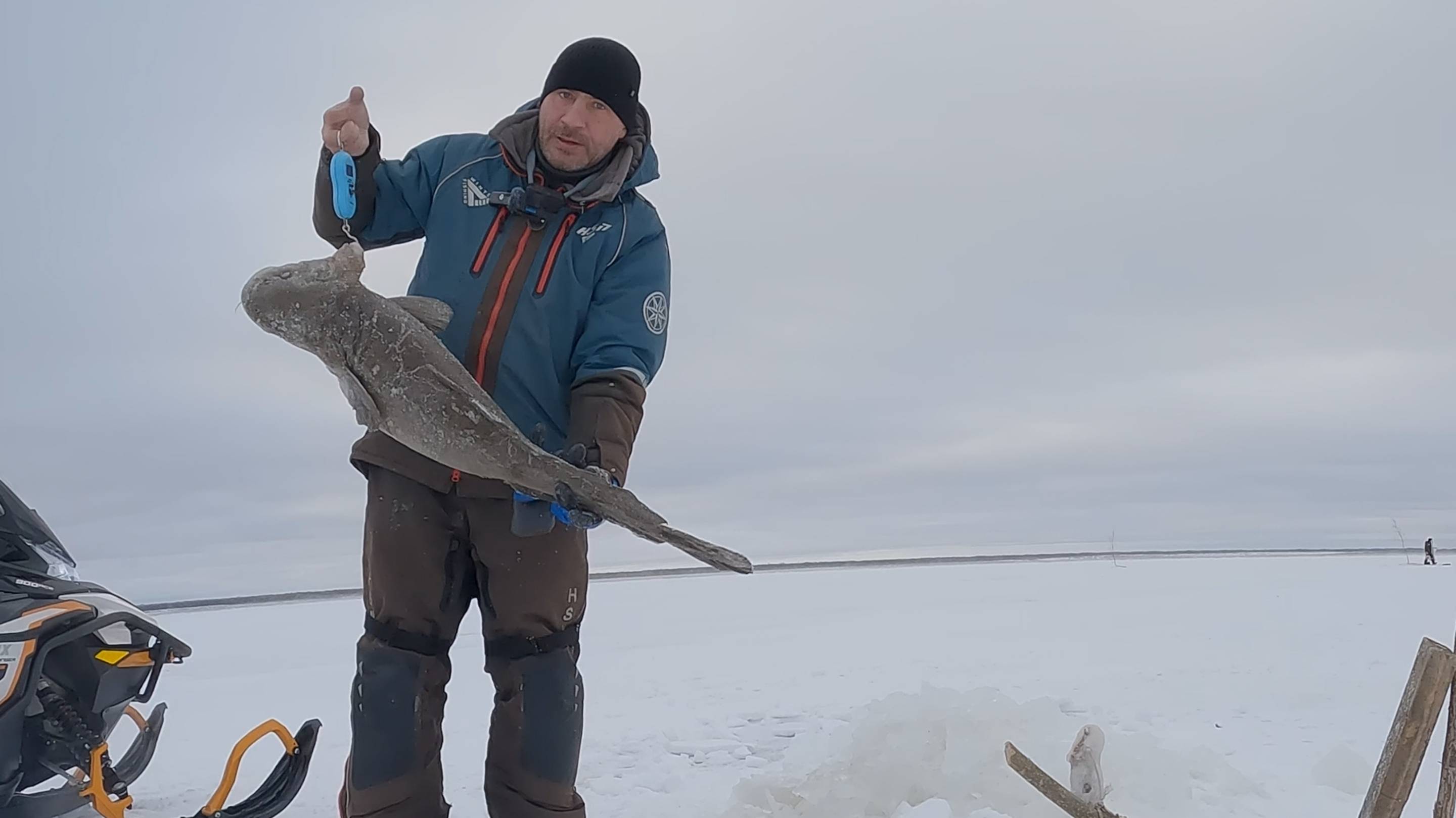 Проверка перемета от А до Я | 04.11.2025
