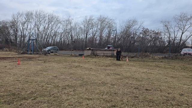 3.  выражено/пож АЛЛЕМО ХАУС МАЛАВИТА (Аллемо Хаус Янар – Аллемо Хаус Гириша)