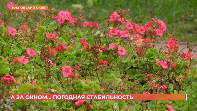 А за окном. 5 ноября 2025