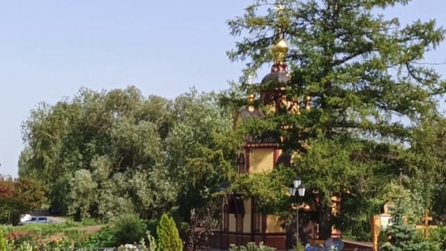 Немного летней идиллии...в ненастный ноябрьский вечер