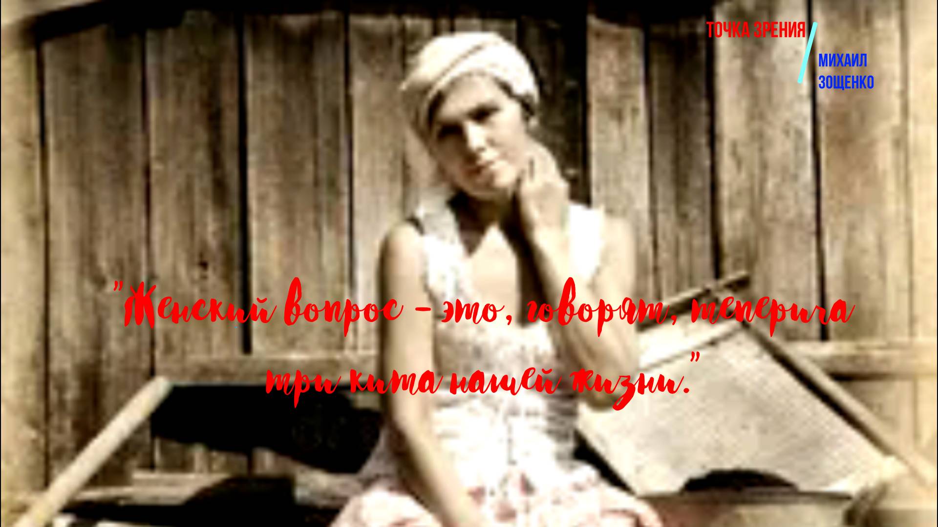 Зощенко -Точка зрения -рассказ