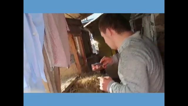 Работа на миниферме Магомедов Расул