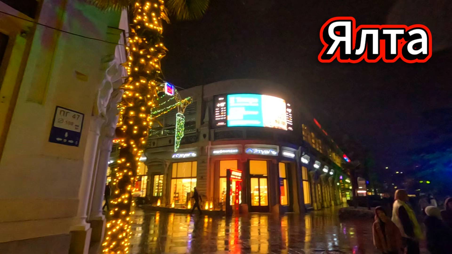 Крым ноябрь .Набережная Ялты. Море.Собаки  Жизнь на море/ Ялта