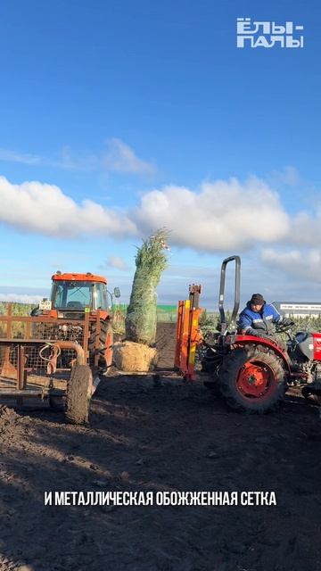 Упаковка корневой системы надежность и экологичность