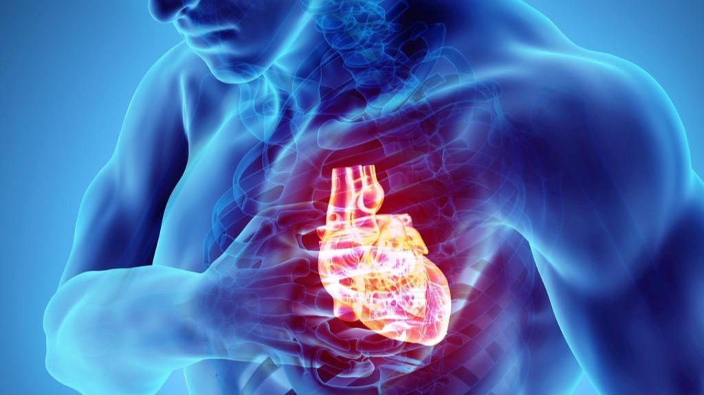 Наиболее частые причины сердечной недостаточности. Пути решения проблемы.