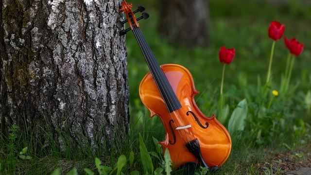 Современная классическая музыка на скрипке  | Ecveezer - You're My Inspiration