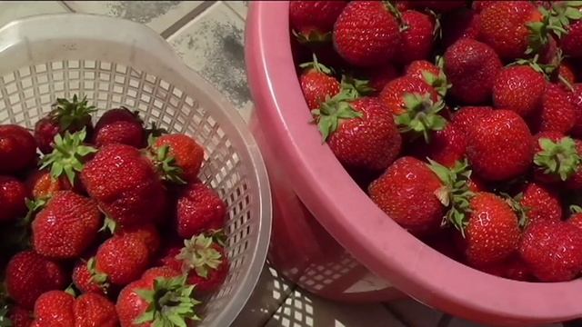 Земляника, клубника и земклуника