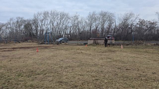 10.  выражено/перв ТИИМ АЛЛЕМО ХАУС АЛИТА (Team del Sol Nascente Ekaraj – Аллемо Хаус Тьюна)