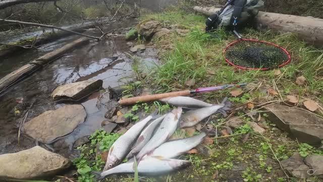 Тенкара, последний день сентября