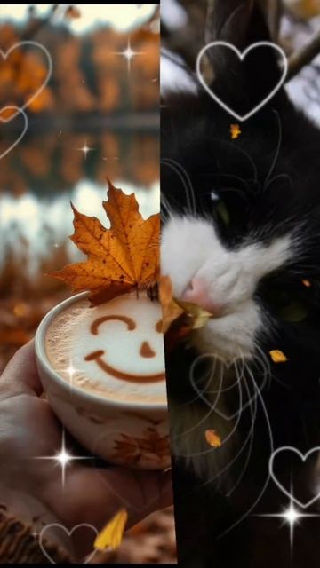 Доброе утро, желаю хорошего дня 👍👍👍#доброеутро