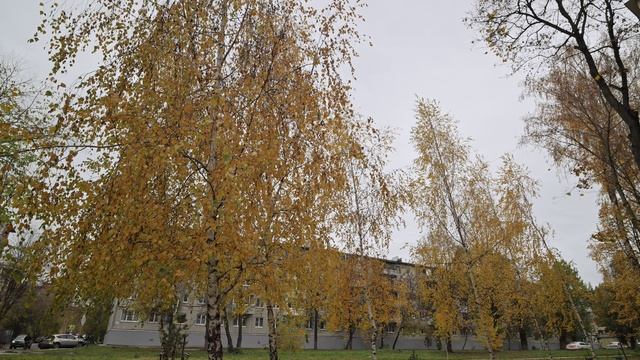 Осень в Туле(6)