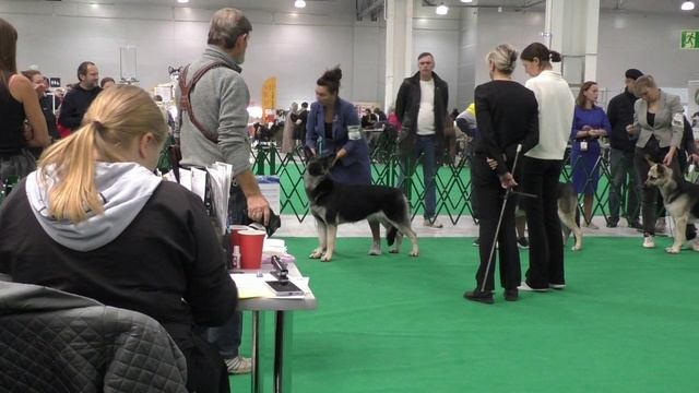 Бест Вео Лайн Нирвана