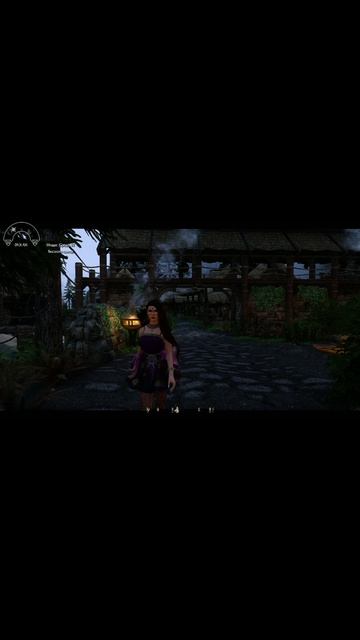 #skyrim Анимация женской походки спереди!