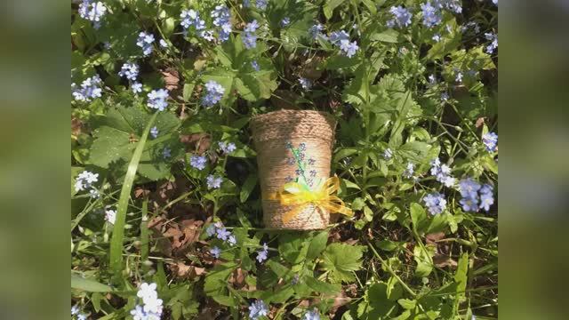 Джутовый стаканчик с незабудками