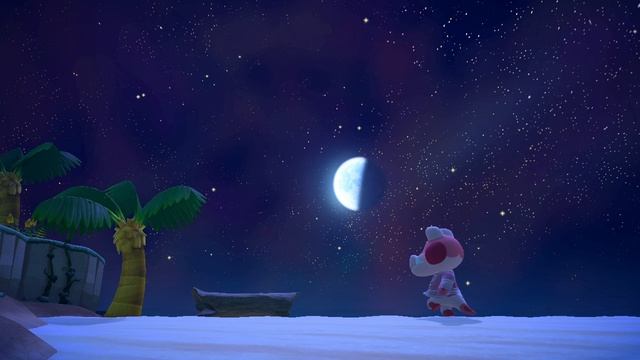 Пляжная разминка в ночи