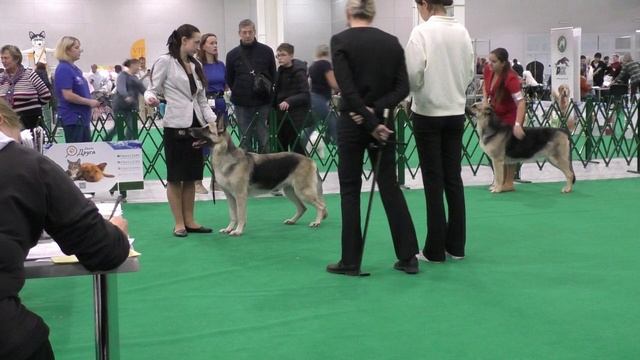 Вео Жар Дин Бронислава
