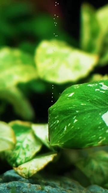 Залипательно😍