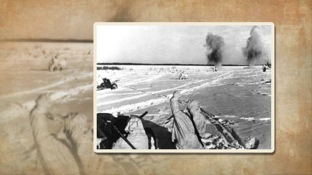 Белковский Дмитрий