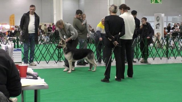 Жеймо из Невского Десанта