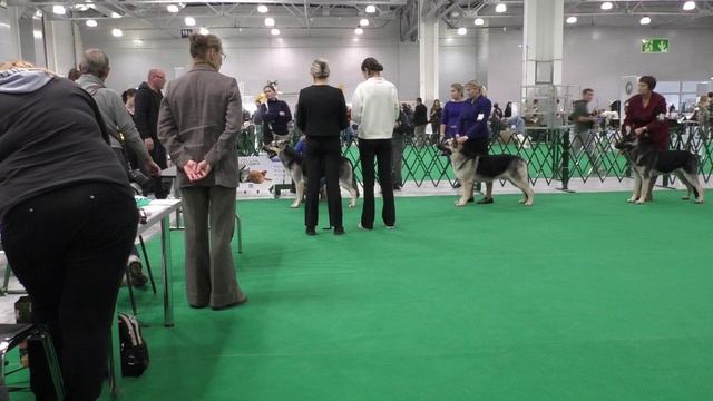 Класс юниоров