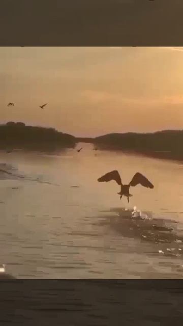 Хочу на рыбалку! 🤪 Видео из интернета 😊