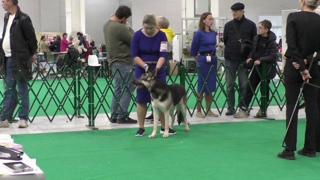 Калужский Витязь Нарния