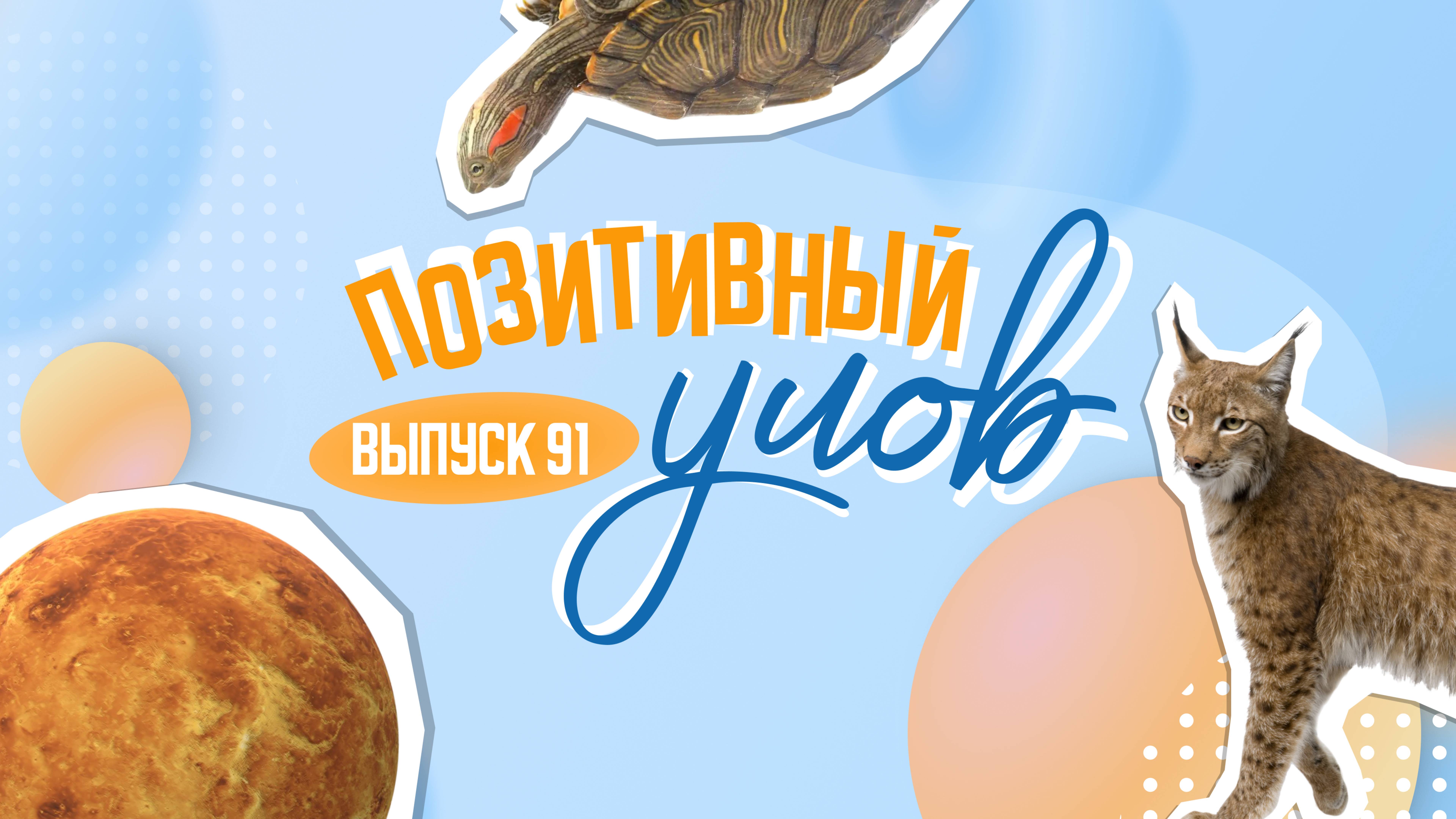 Спасение черепахи в Санкт-Петербурге и законопослушные бразильские капибары. "Позитивный улов"