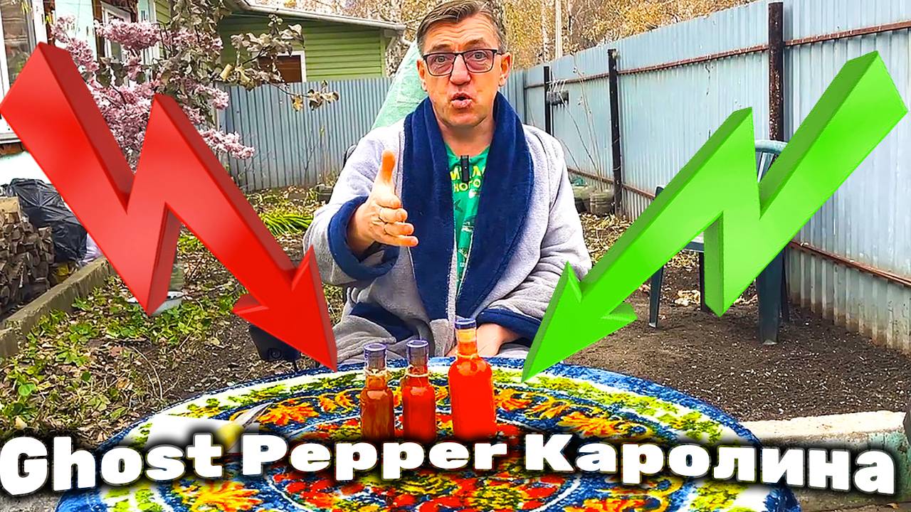САМЫЕ ОСТРЫЕ домашние слуса Каролина Рипер перец призрак Хабанеро1