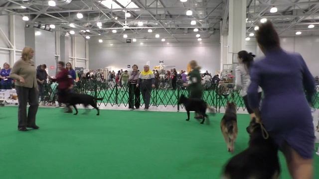 Класс юниоров