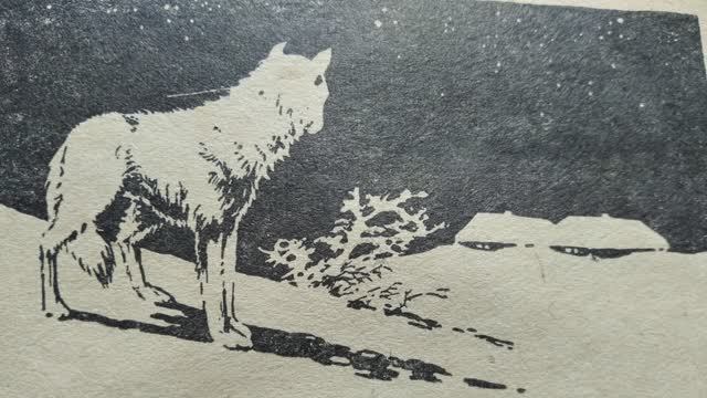 Волк. Н.А. Зворыкин