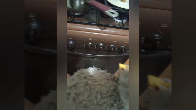 УЛЫБАЮЩИЙСЯ КОМНАТА В РЕАЛЬНОЙ ЖИЗНИ. ЗАЯЦ УЗНАЛА ПРАВДУ. ЧТО СТАЛО С ЧЕБУРАШКОЙ И ТИГРОЙ