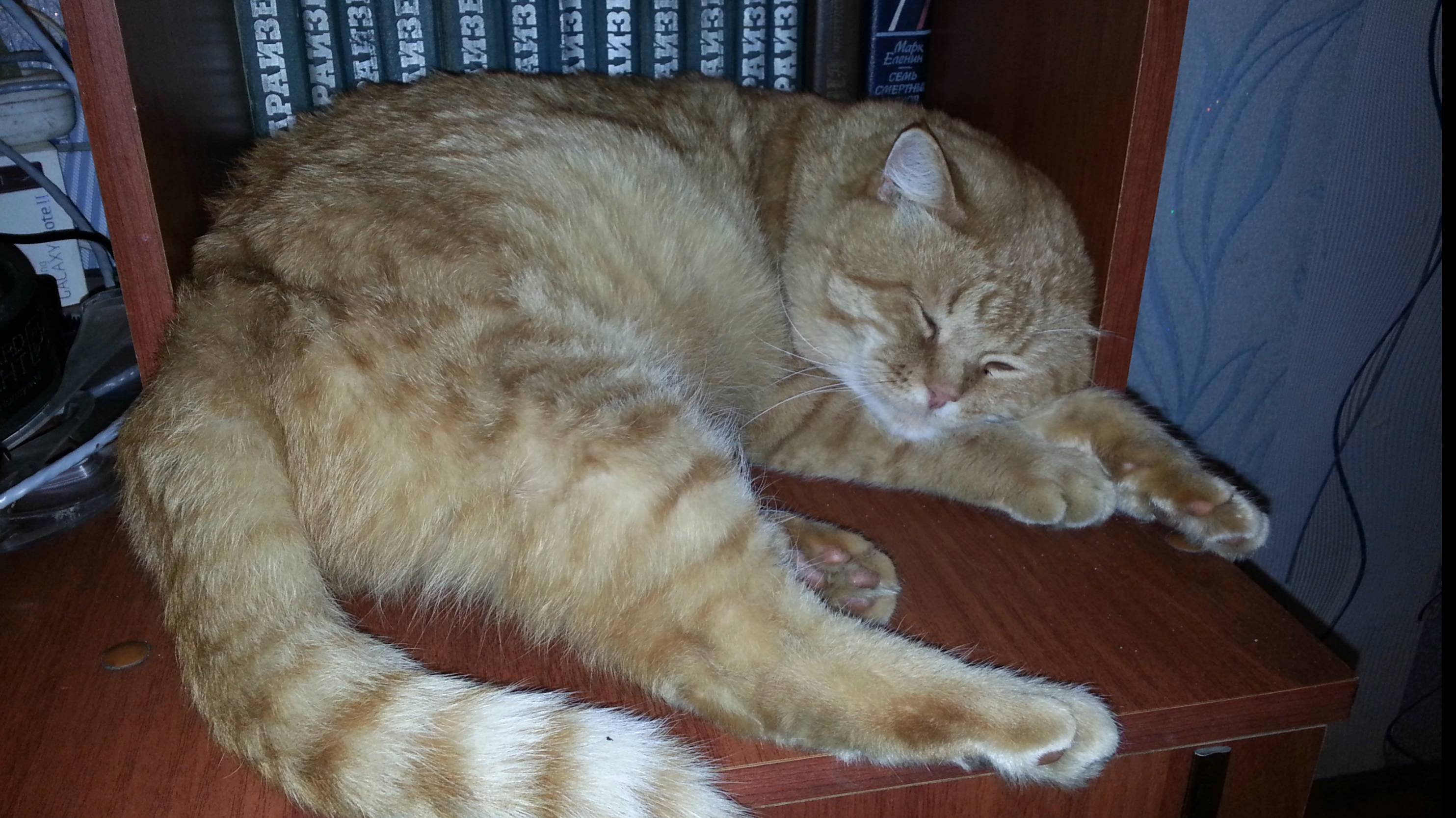 Валериановые капли