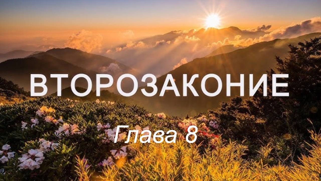 Книга Второзаконие, глава 8. Настоятель Храма Святого Андрея Боголюбского иерей Кирилл 08.11.2025г.