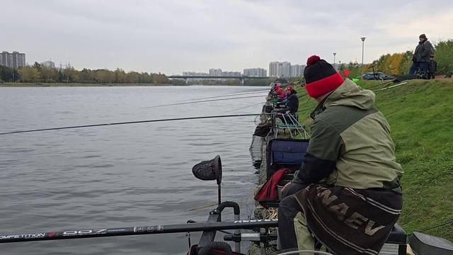 О главном. выпуск 96