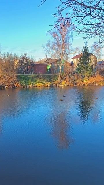 Танцуют все утки