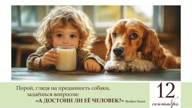 СОБАКА И ЕЕ ЧЕЛОВЕК: КТО КОМУ БОЛЬШЕ ДОЛЖЕН?