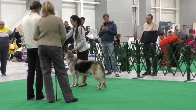 Вео Жар Дин Бронислава