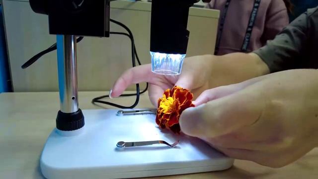 Библиотеки ЕАО ремонтируют благодаря инициативам президента