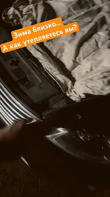 Утеплил авто перед зимой #automobile #авто #автотепло #lexus #mitsubishi