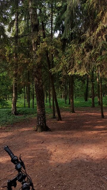 Тула. Центральный парк. Спортивная зона. Лето 2025 года.