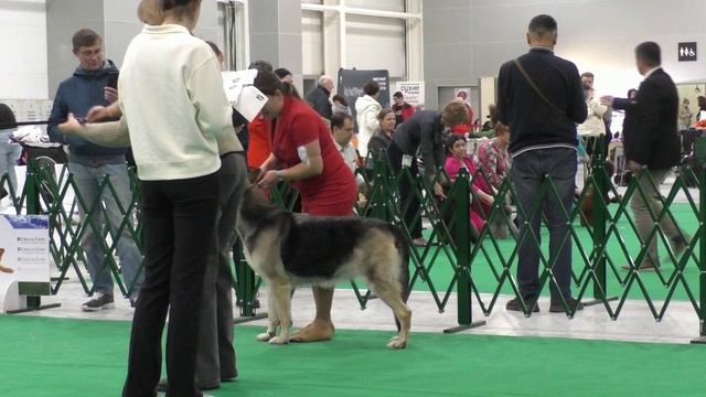 Моншер Вирсаль Фореста