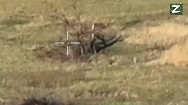 СВО Российский боец смог пережить 7 ударов FPV-дронами, оставшись практически невредимым