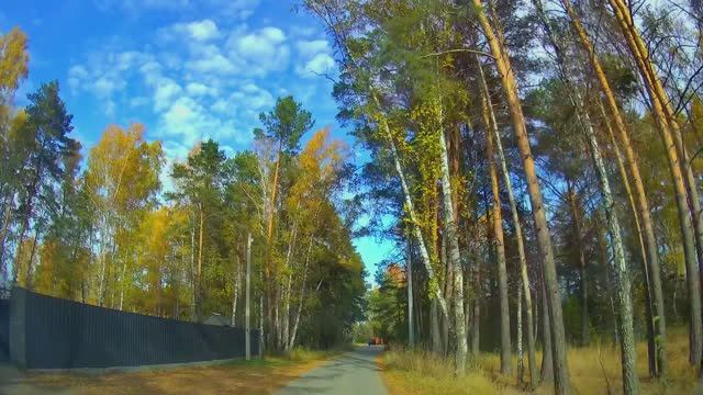 🚗 Видео с видеорегистратора: движение по посёлку Боровский | 70mai Dash Cam Pro | 09.10.2025